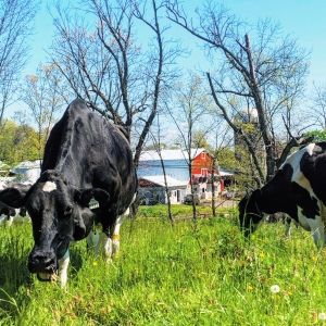 Our Farmers - Lioni Latticini, Inc