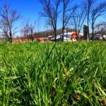 Our Farmers - Lioni Latticini, Inc