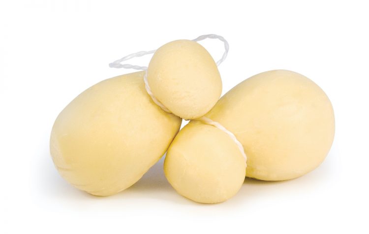 Dry Mozzarella - Lioni Latticini, Inc