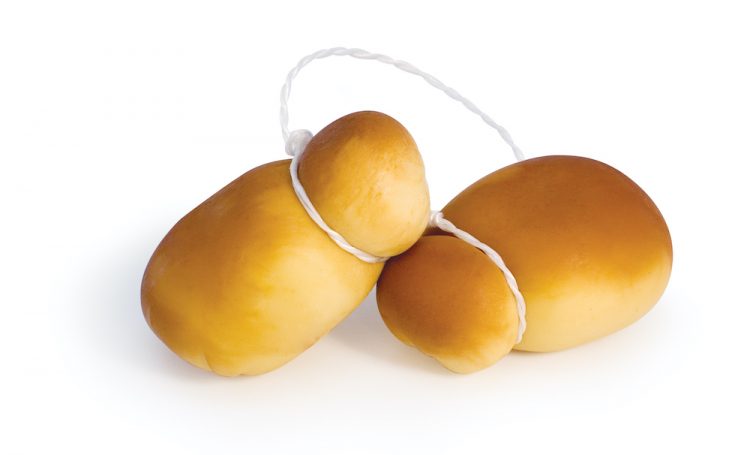 Dry Mozzarella - Lioni Latticini, Inc